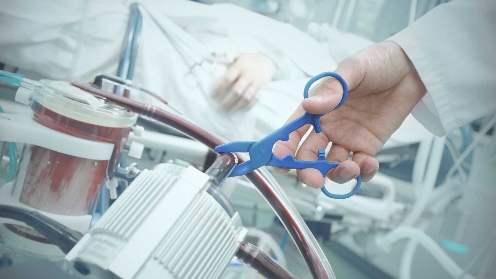 Deputados vão tentar concluir lei da eutanásia nos primeiros dias de ...