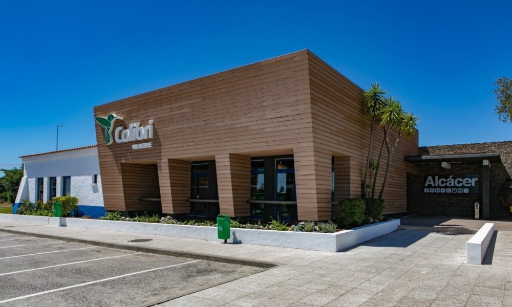 Equipa de futebol faz piquenique em área de serviço na autoestrada ...