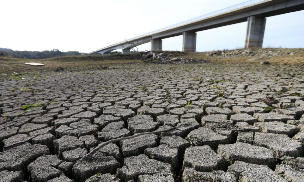 Unicef alerta que uma em cada quatro crianças é afetada pela seca ...