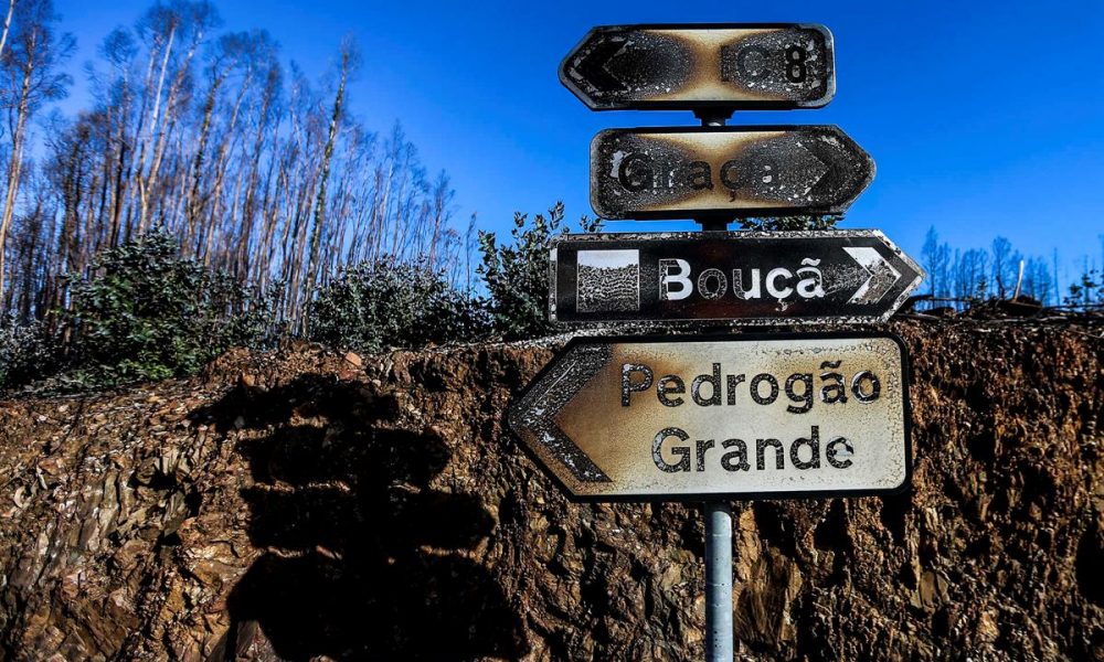 Vítimas do incêndio de Pedrógão Grande alertam para falhas no acesso à ...