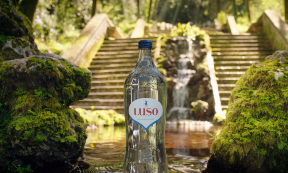 Luso e Sagres reconhecidas nacional e internacionalmente – Notícias de ...