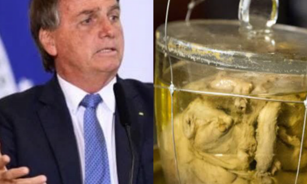 Jair Bolsonaro recebe coração de D.Pedro com show aéreo na sede do ...