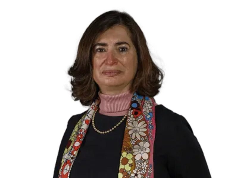 As oficiosas! – Notícias de Coimbra