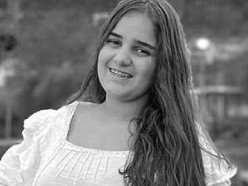 Acidente mortal de jovem na Nacional 240 está a ser investigado. Há ...