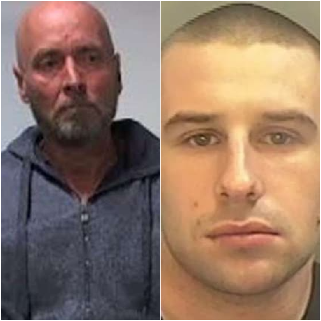 “Turrón” de Vale de Judeus para a Polícia Judiciária – Notícias de Coimbra