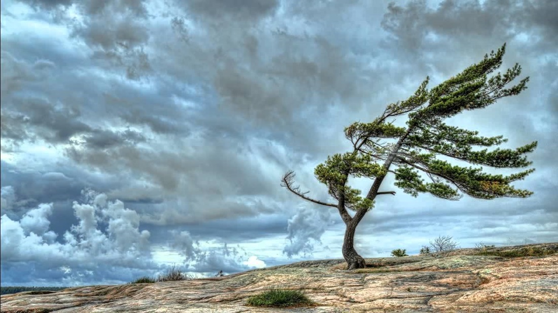 Vento forte faz cair poste em garagem e provoca um ferido – Notícias de ...
