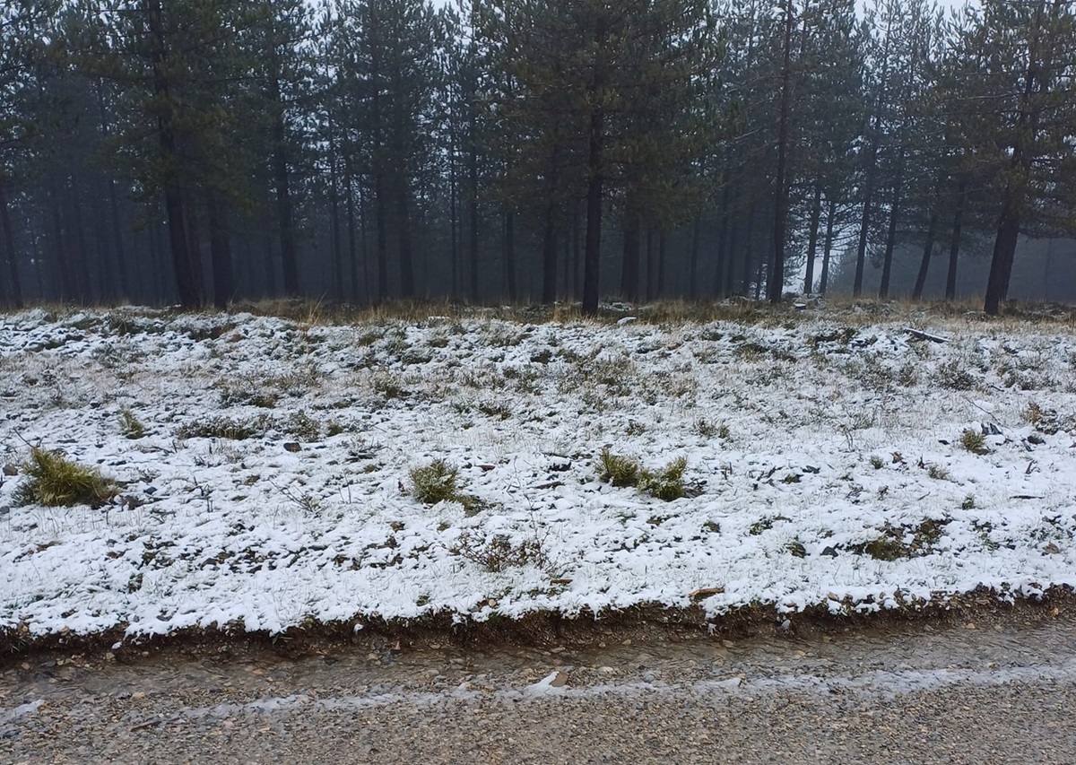 Neve encanta Trevim e Santo António da Neve na Serra da Lousã ...