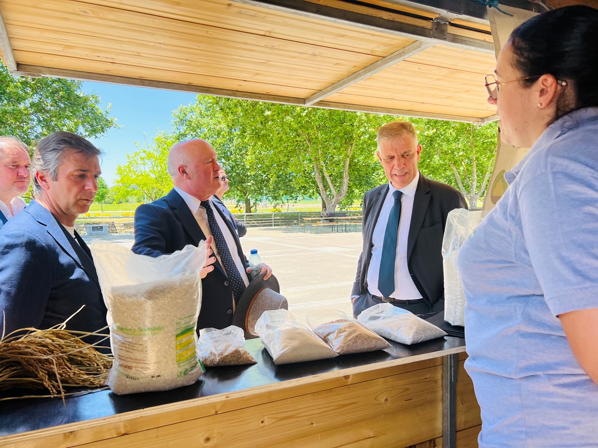 Estreia do Arroz Carolino do Baixo Mondego na ExpoSicó destaca a ...