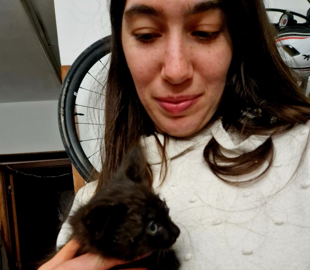 Oscar procura refúgio no Passaporte em Coimbra, mas encontra o carinho ...