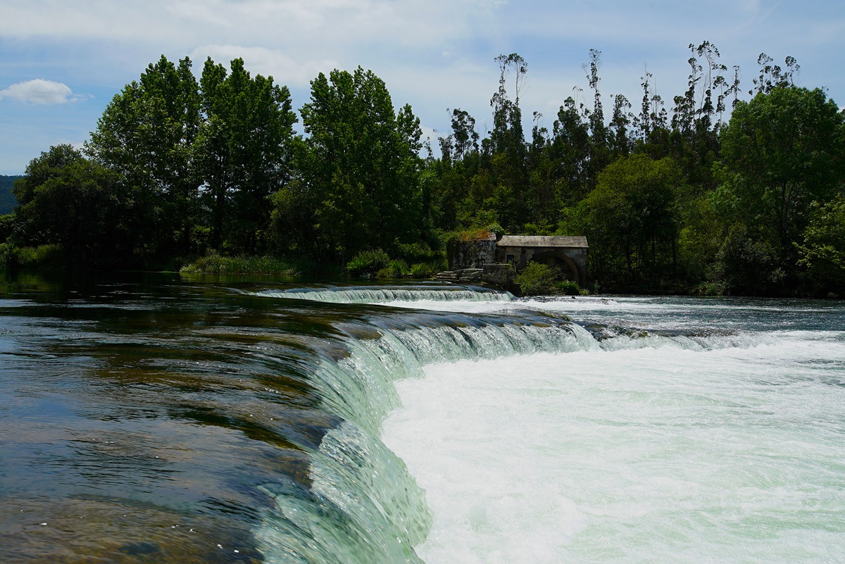 Morreu afogado e amarrado a uma pedra. Escola falhou, Estado paga ...