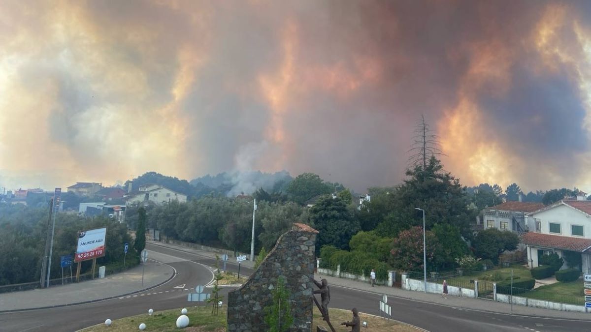 Dois fogos em Pedrógão Grande levam ao corte do IC8 – Notícias de Coimbra