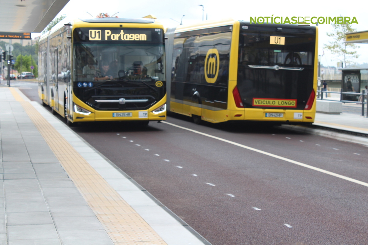 Articulação do metrobus com autocarros urbanos preocupa candidatos em ...
