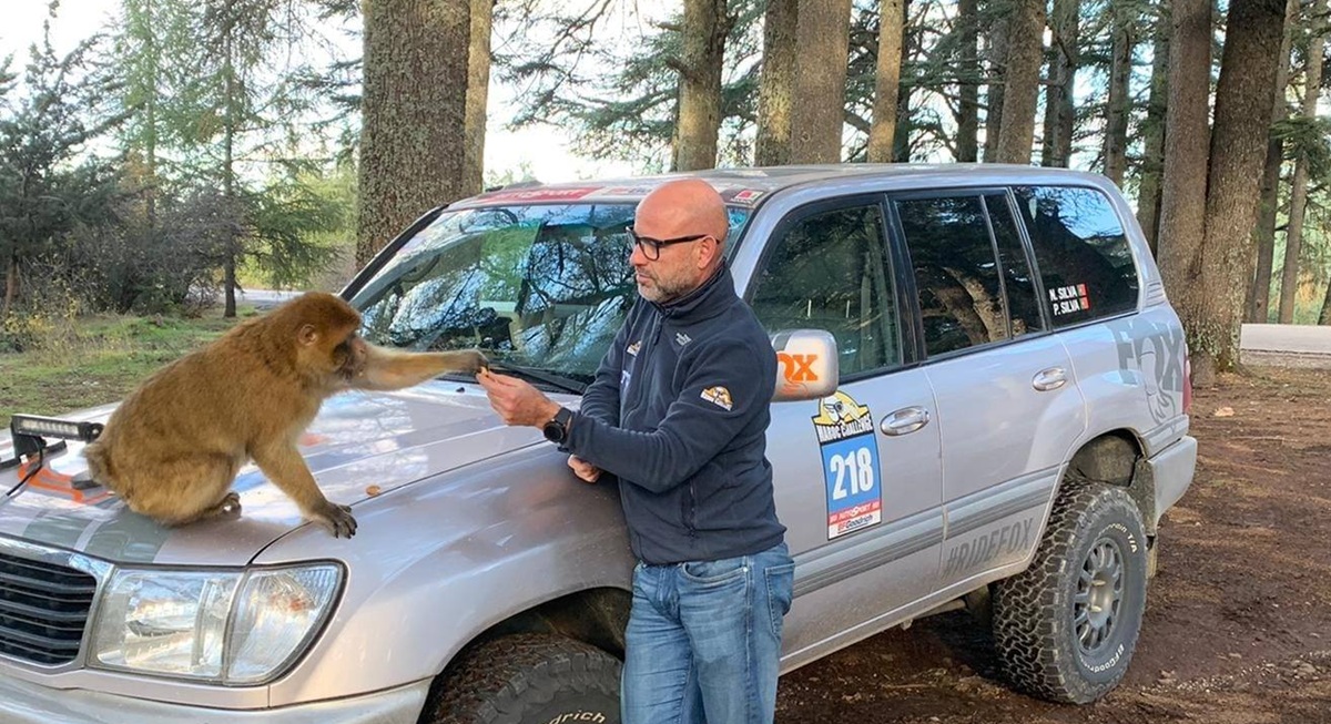 Acidente tira a vida a sócio-gerente da empresa Gasogás – Notícias de ...