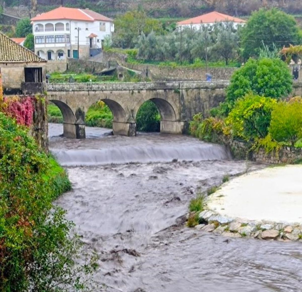 O Rio Alva e a Ilha do Picoto revelam a beleza natural de Oliveira do ...