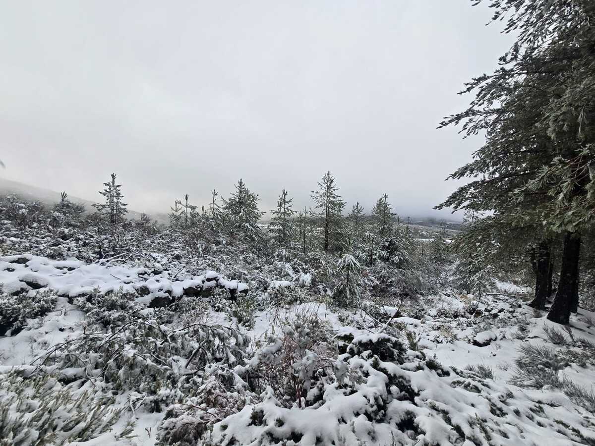 Seis imagens incríveis da Serra da Estrela vestida de branco – Notícias ...