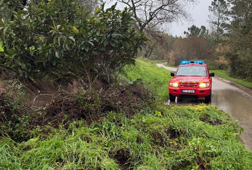 Soure em alerta. Chuva causa deslizamentos e estradas inundadas ...