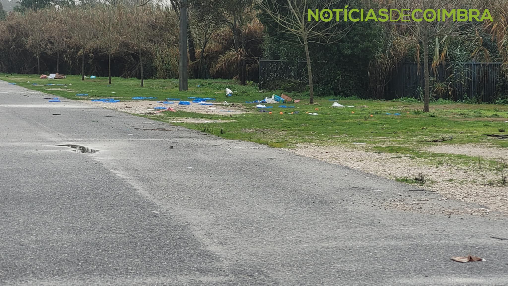 Recinto da Feira dos 7 e dos 23: um “caixote do lixo” a céu aberto ...