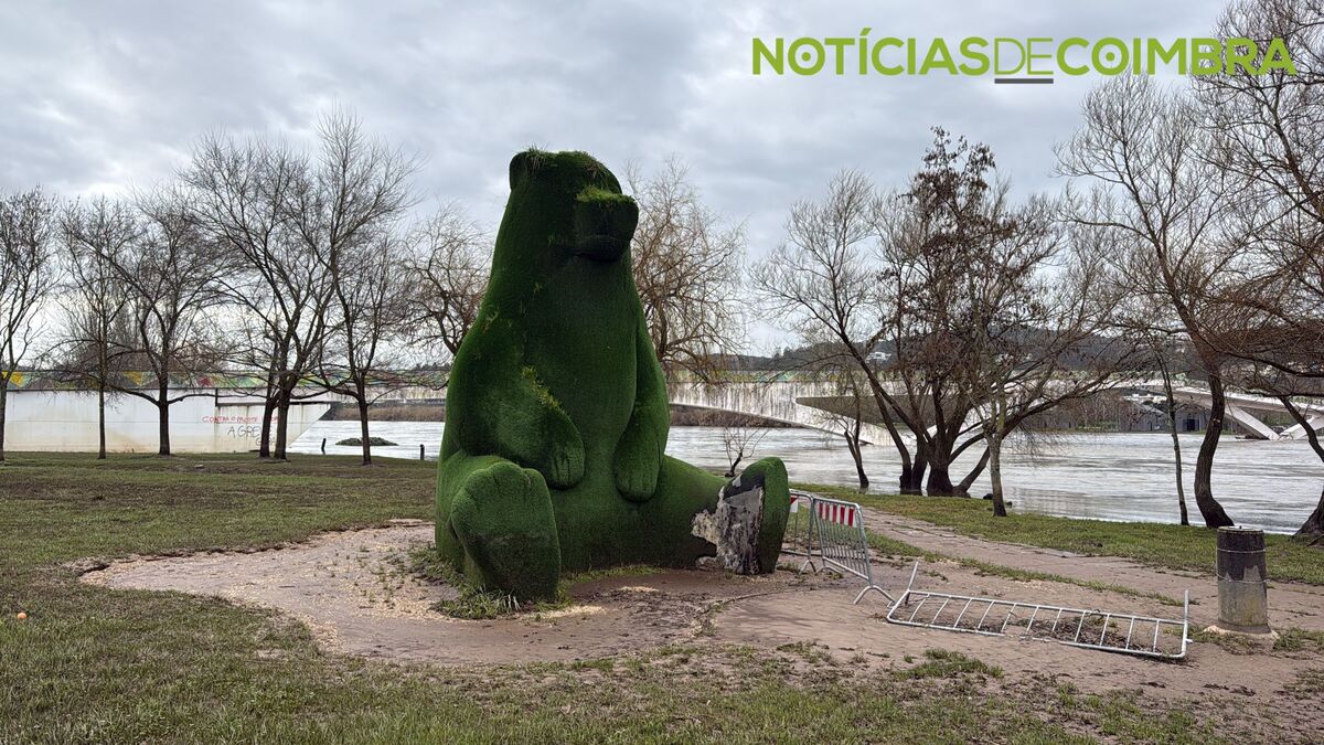 URSO DO PARQUE VERDE GANHA NOVAS ATRAÇÕES – Notícias de Coimbra