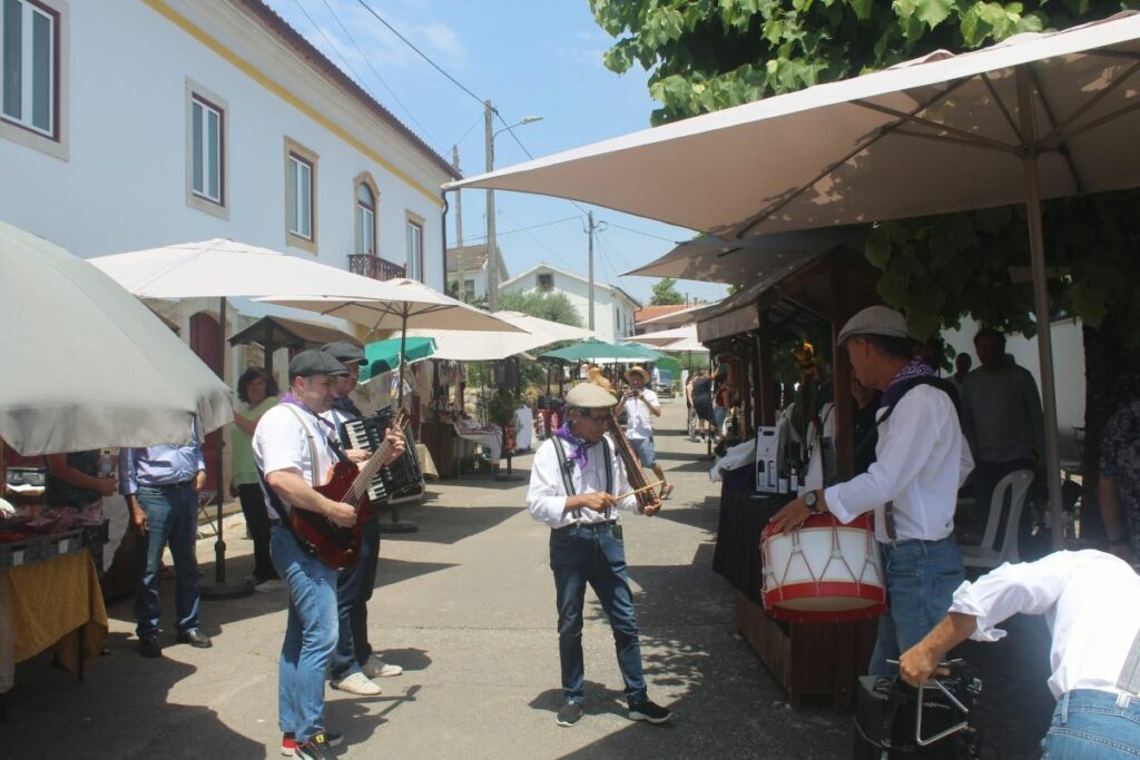 Vinália transforma freguesia em Penela numa grande festa de vinhos ...